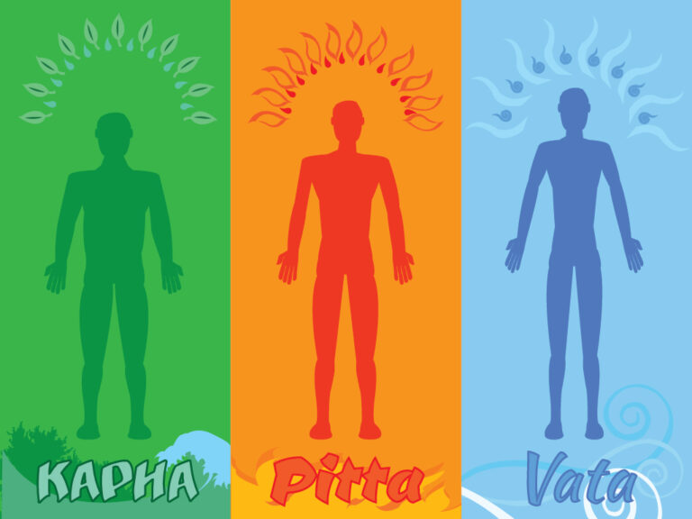 What Are the Doshas, and Why Are They Important? | yogahub